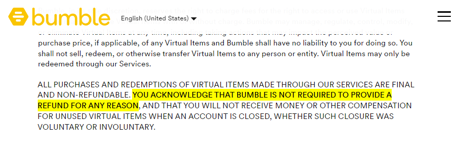 Bumble Review - Who the App is and isn't Good For?